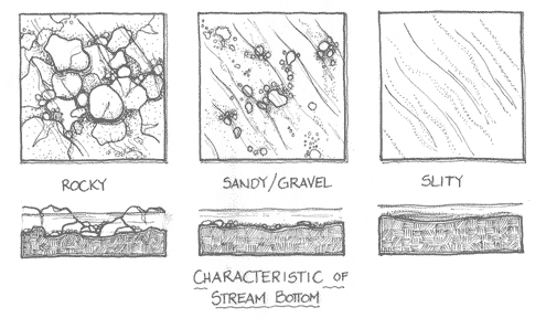 BRIDGING THE WATERSHED - Charateristics of Stream Bottom