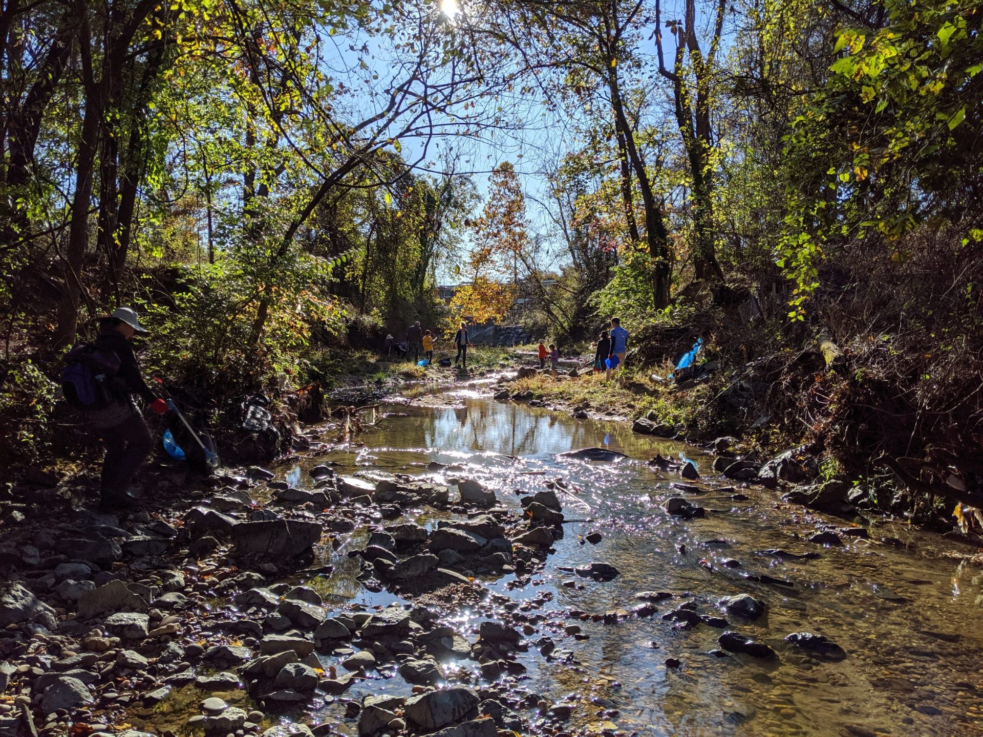 Adopt-a-Stream - Alice Ferguson Foundation