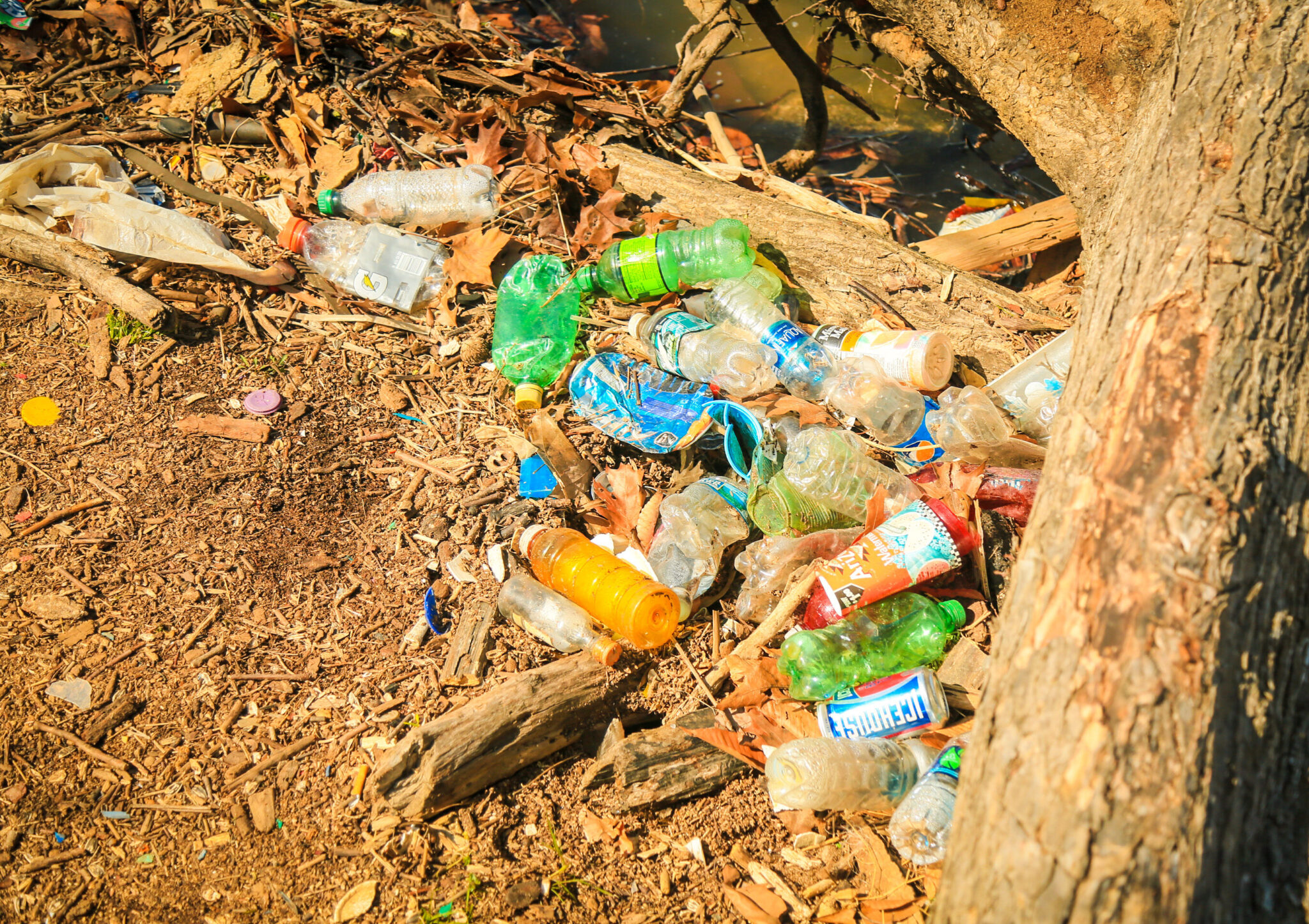 Resources - Alice Ferguson Foundation