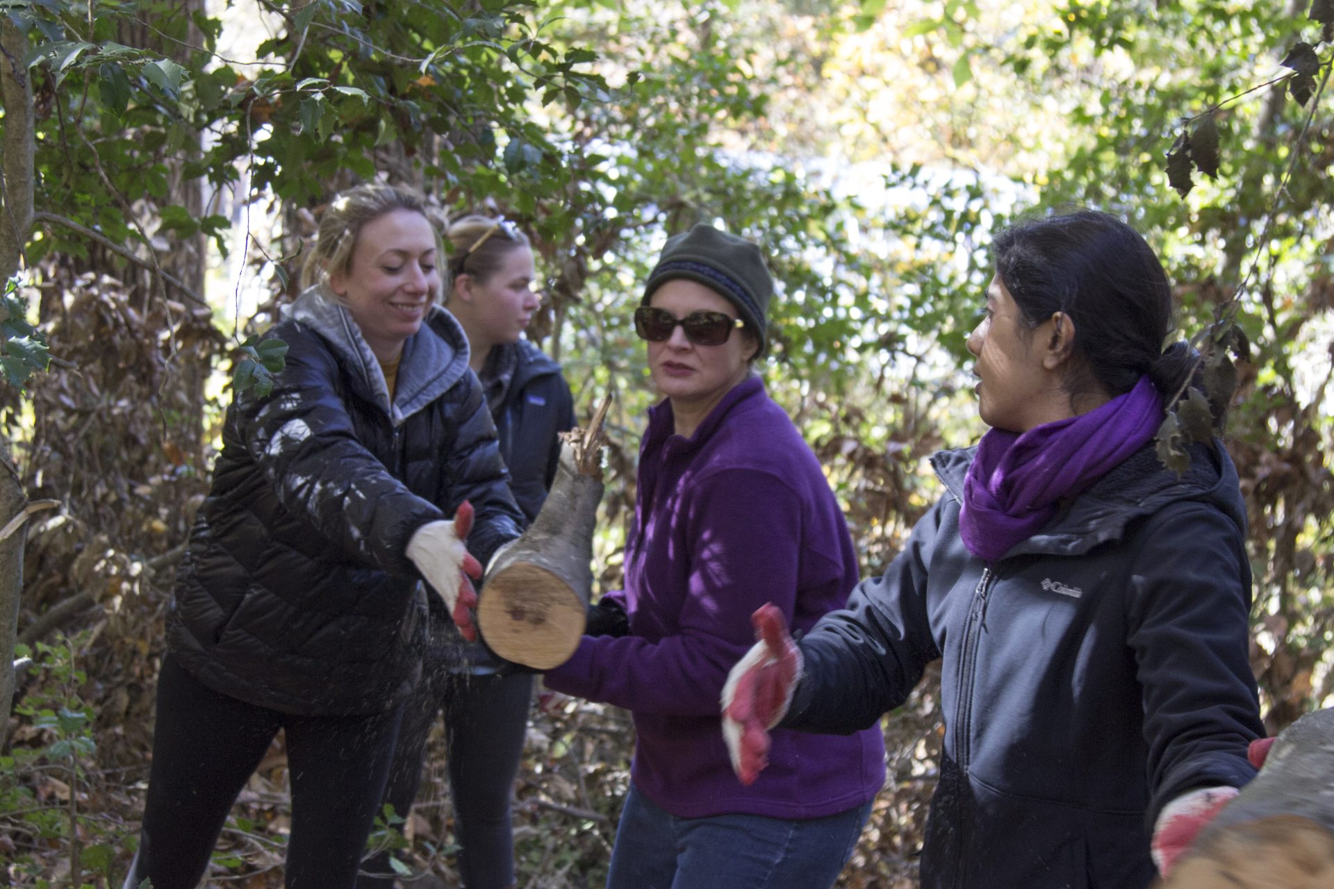 Homepage - Alice Ferguson Foundation